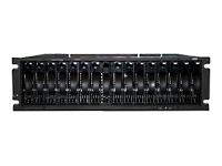 IBM System Storage DS4000 EXP810 Storage Expansion Unit Model 81-DC ...